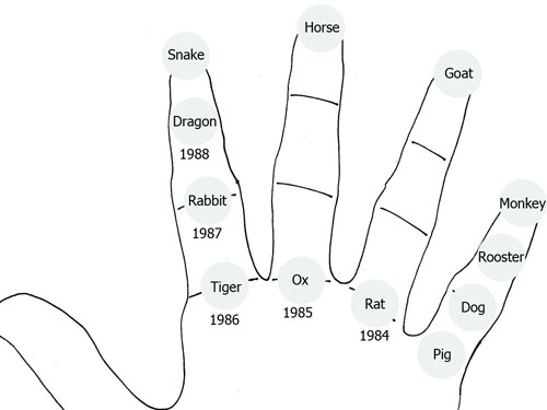 Finding out your Animal Sign – Using the Finger Method 1 | Absolutely ...